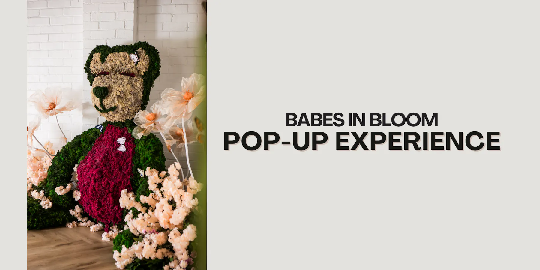 Babe Cave - Charlotte, NC | Tock