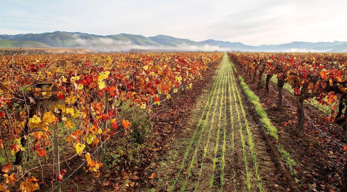 Riverbench Vineyard & Winery - A Taste of Riverbench - Santa Maria, CA ...