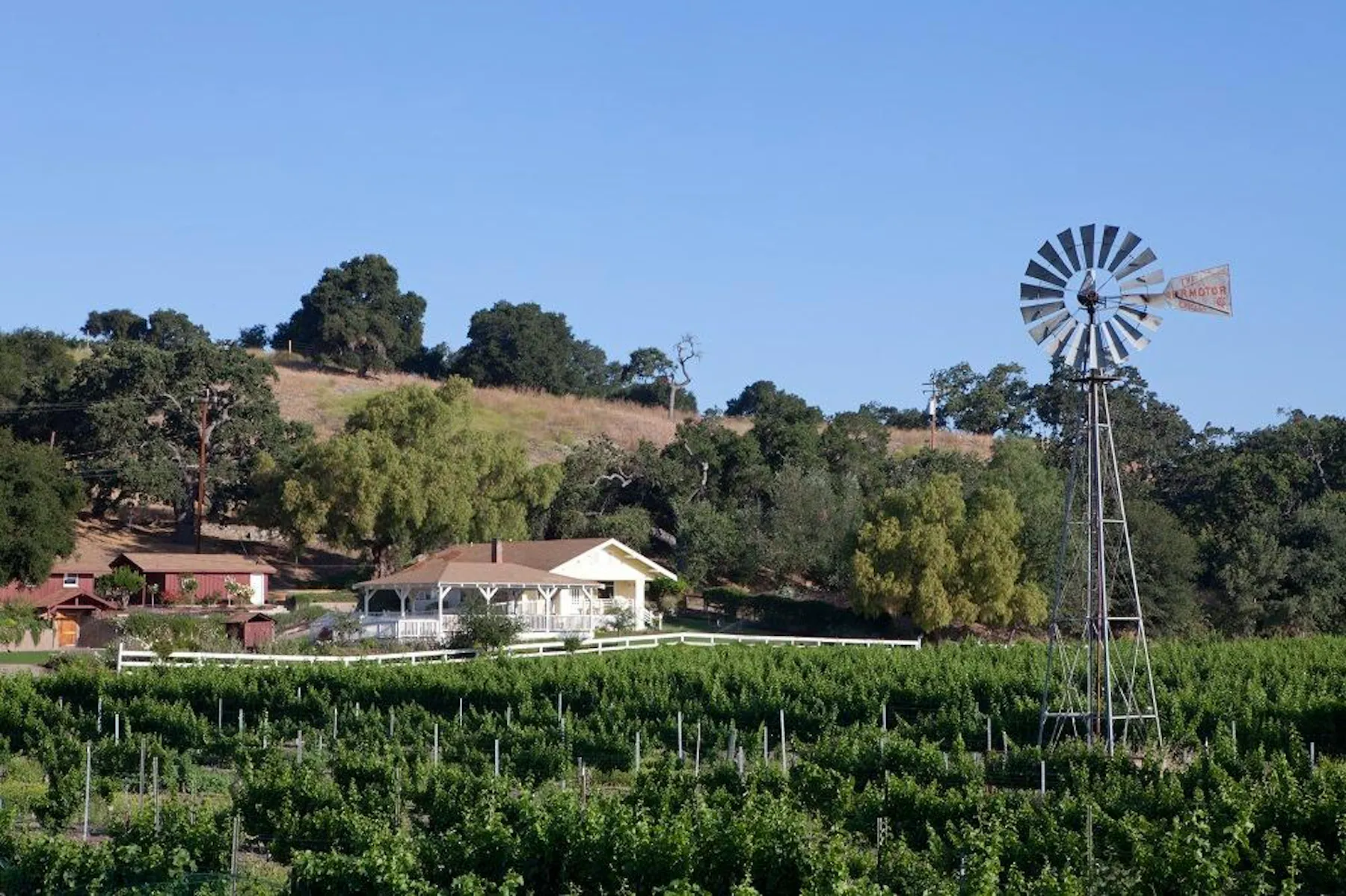 Lincourt Vineyards - Solvang, CA | Tock