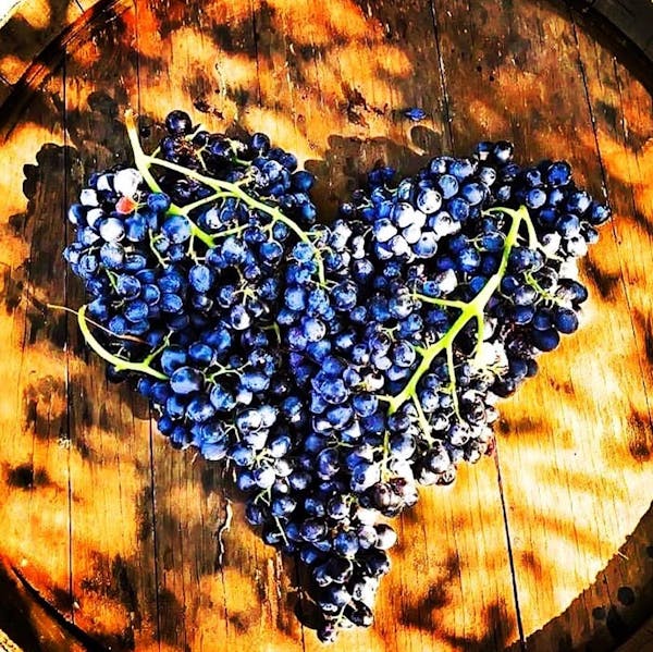 7 Vines Vineyard - Dellwood, MN | Tock