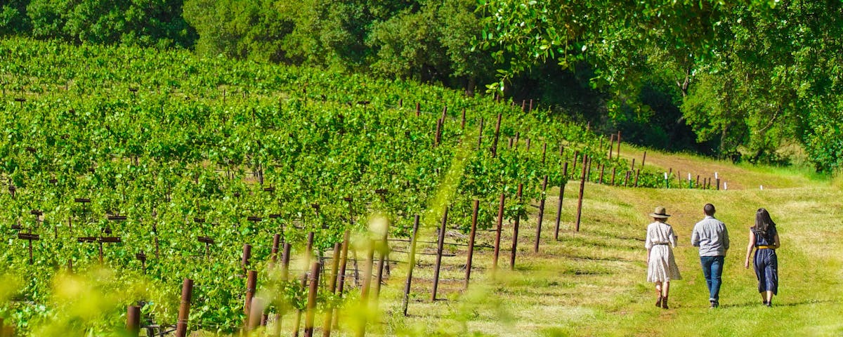 Ironstone Vineyards - Murphys, CA | Tock