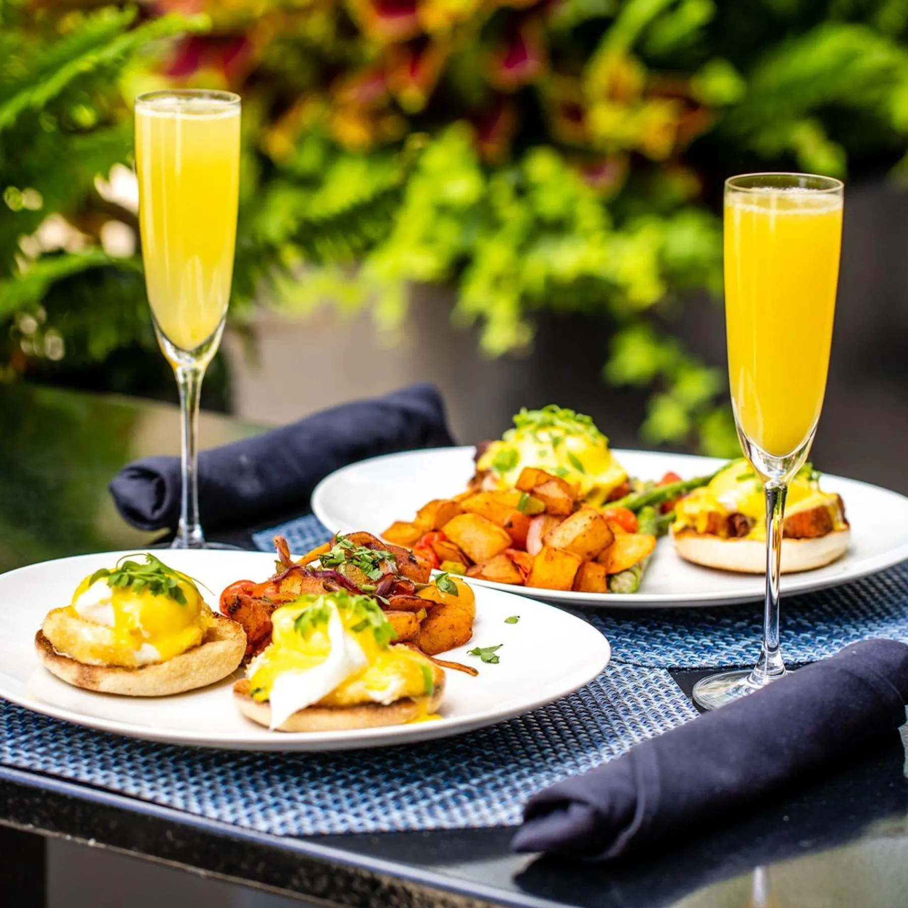 Roblar Winery & Vineyards - Santa Ynez, CA | Tock