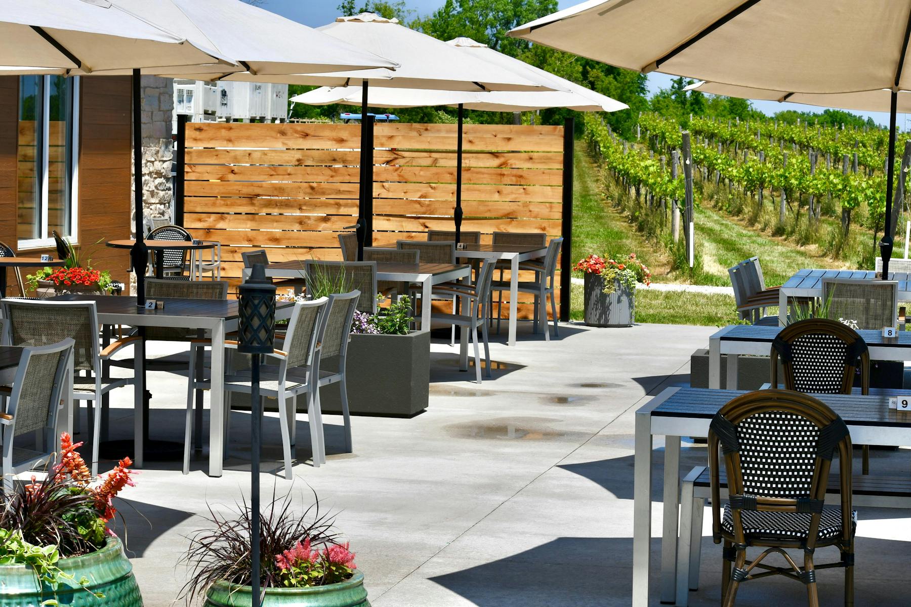 LedgeStone Vineyards - Greenleaf, WI | Tock