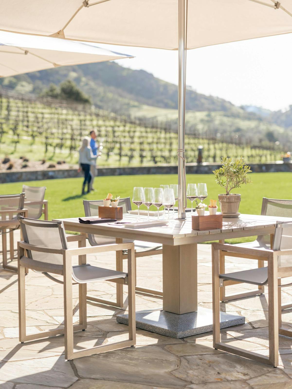 Shafer Vineyards - Napa, CA | Tock