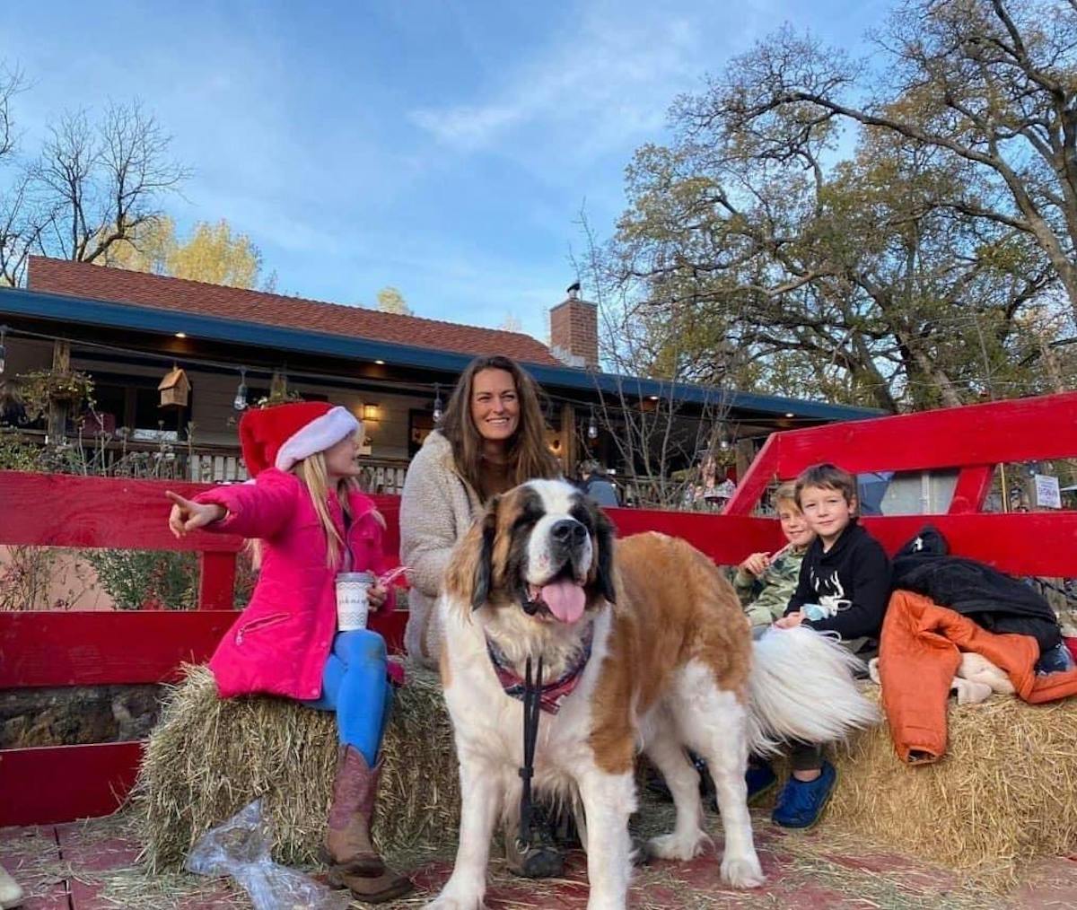 Six Sigma Ranch and Winery - Lower Lake, CA | Tock