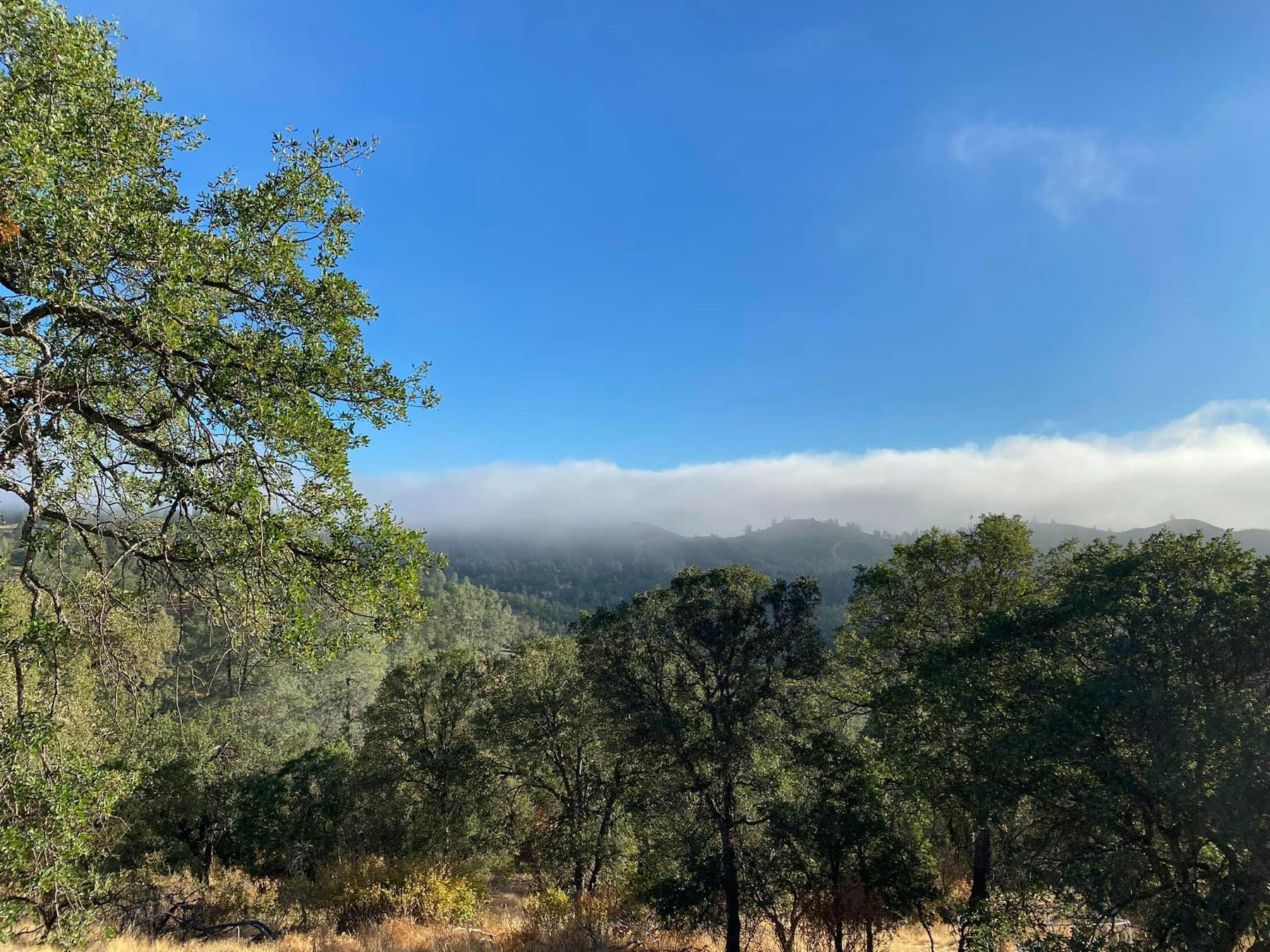 Six Sigma Ranch and Winery - Lower Lake, CA | Tock