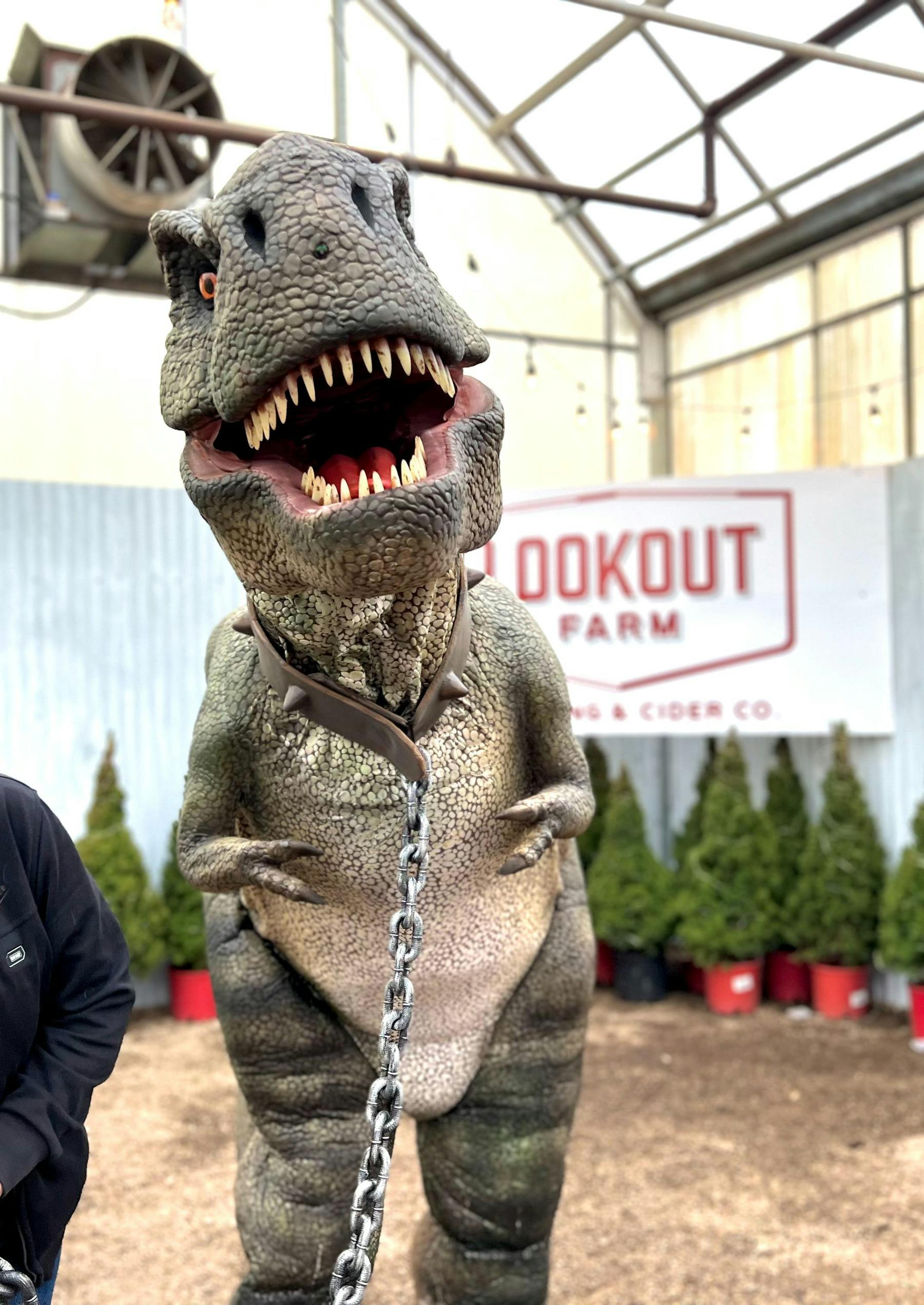 Lookout Farm Brewing & Cider Co. Taproom - Natick, MA | Tock