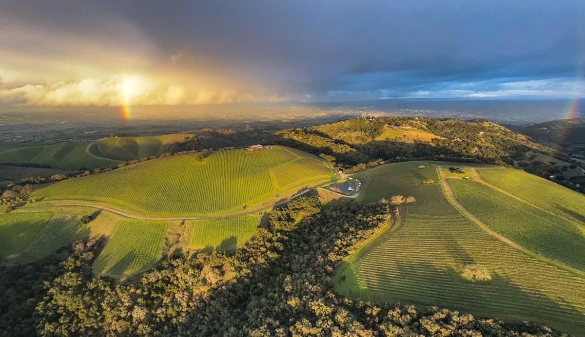 Alta Colina Vineyard & Winery - Summit Vineyard Tasting - Paso Robles ...