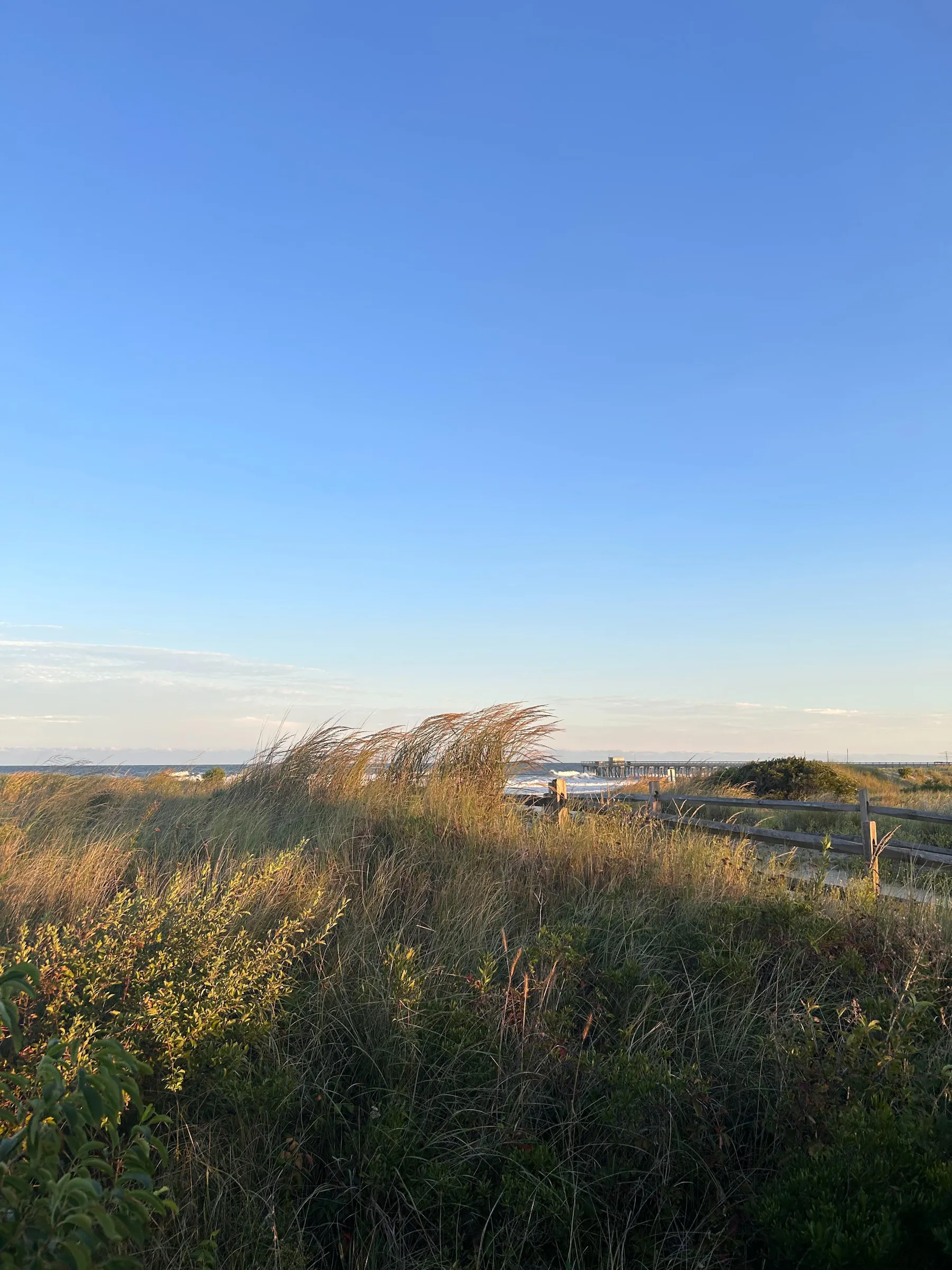 Summer Salt - Avalon, NJ | Tock