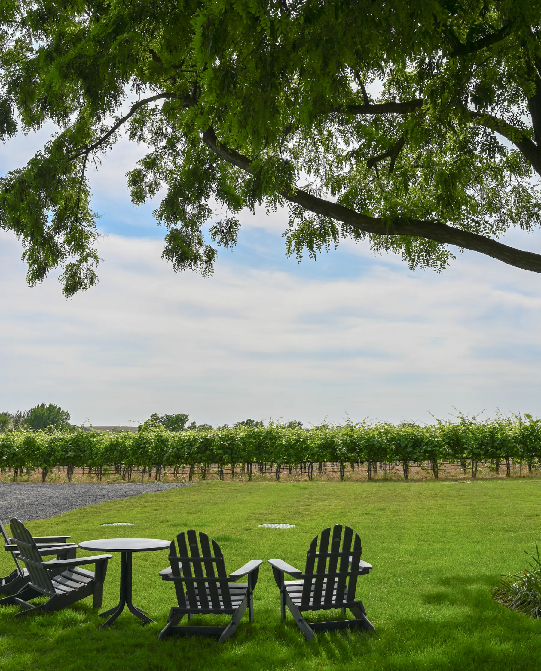 Walla Walla Vintners - Walla Walla, WA | Tock