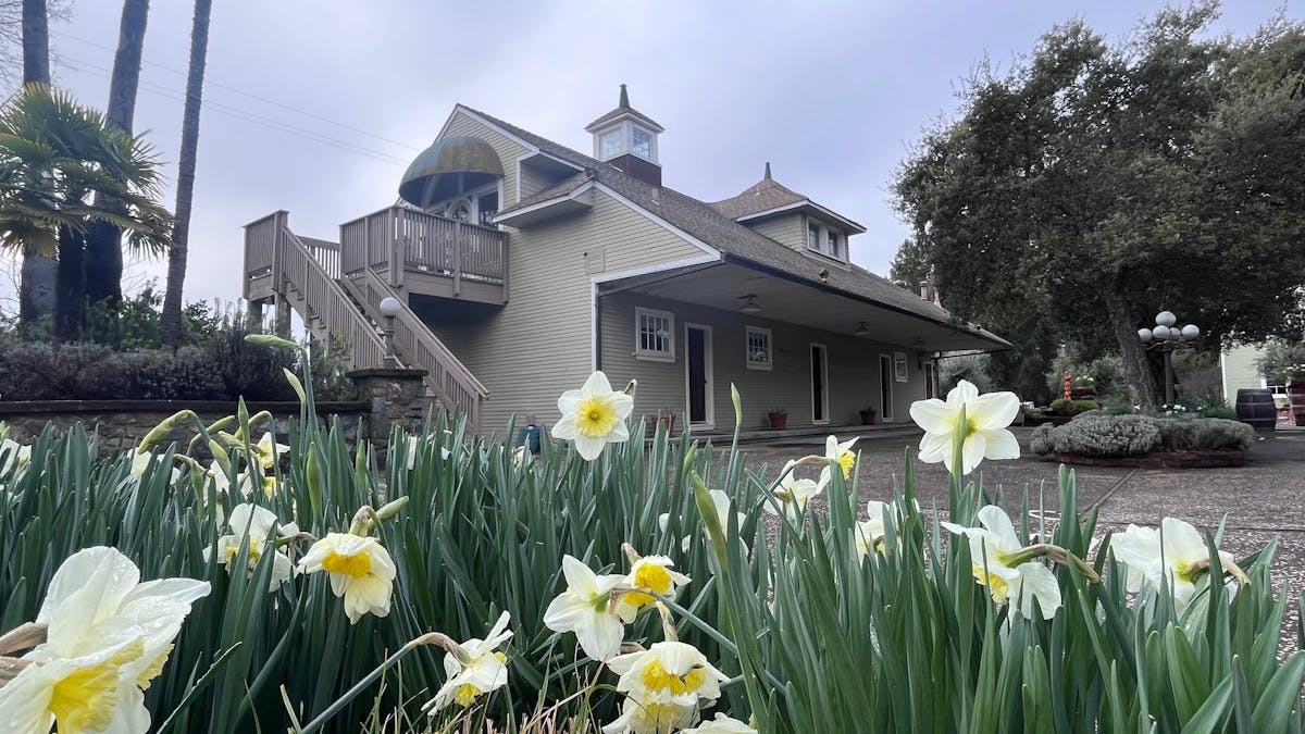 Campovida - Self Guided Tasting To-Go - Hopland, CA | Tock