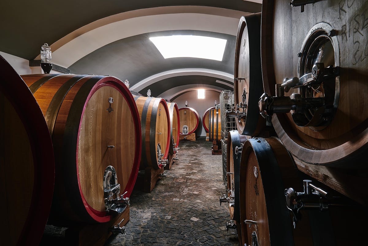 Cantina Del Vesuvio Winery Russo Family - Trecase, CAMPANIA | Tock