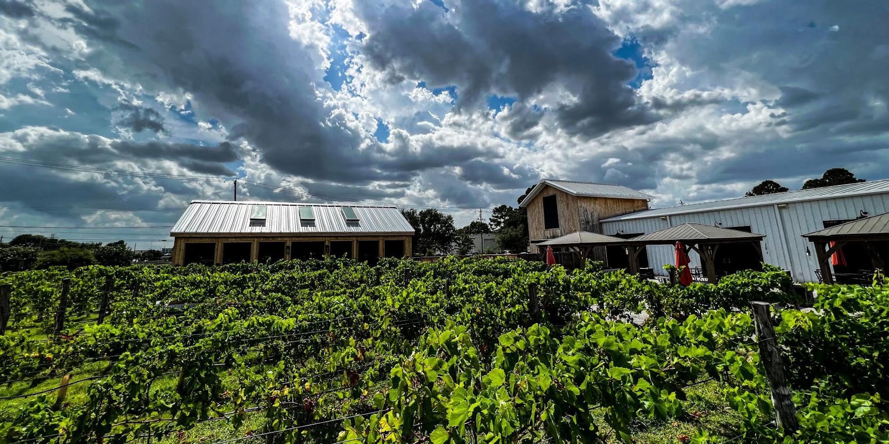 Nice Winery - Houston, TX | Tock