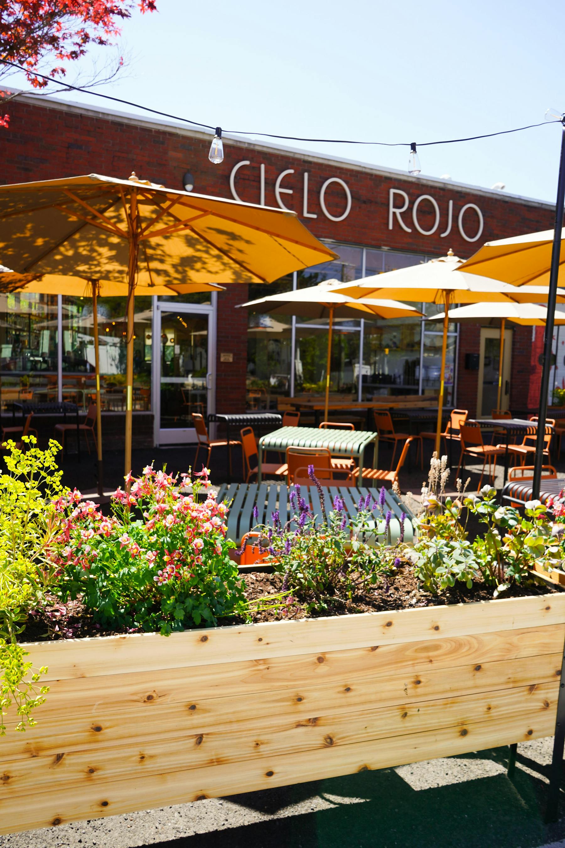 Cielo Rojo - Takoma Park, MD | Tock