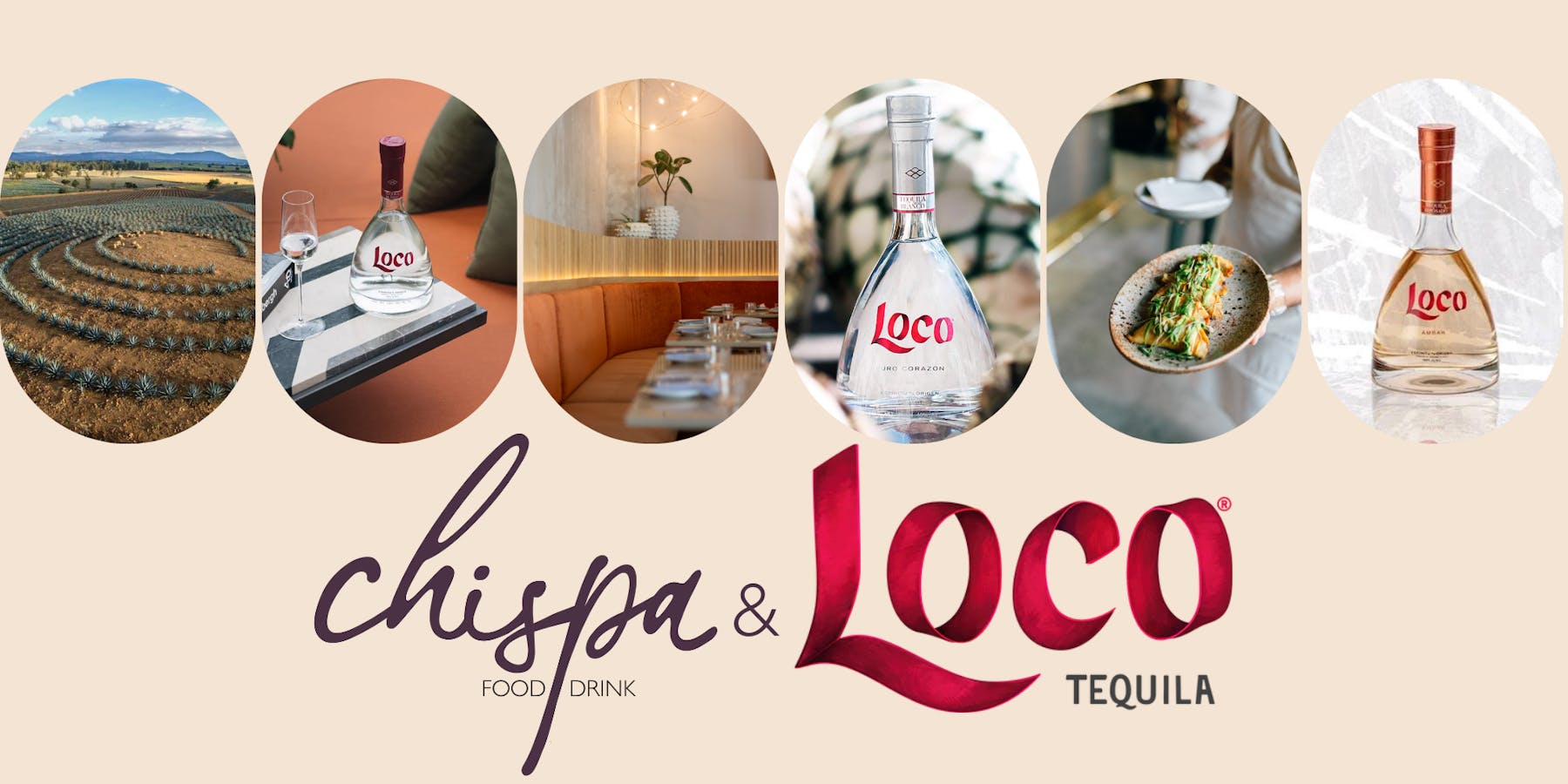 Chispa Food + Drink - Napa, CA | Tock