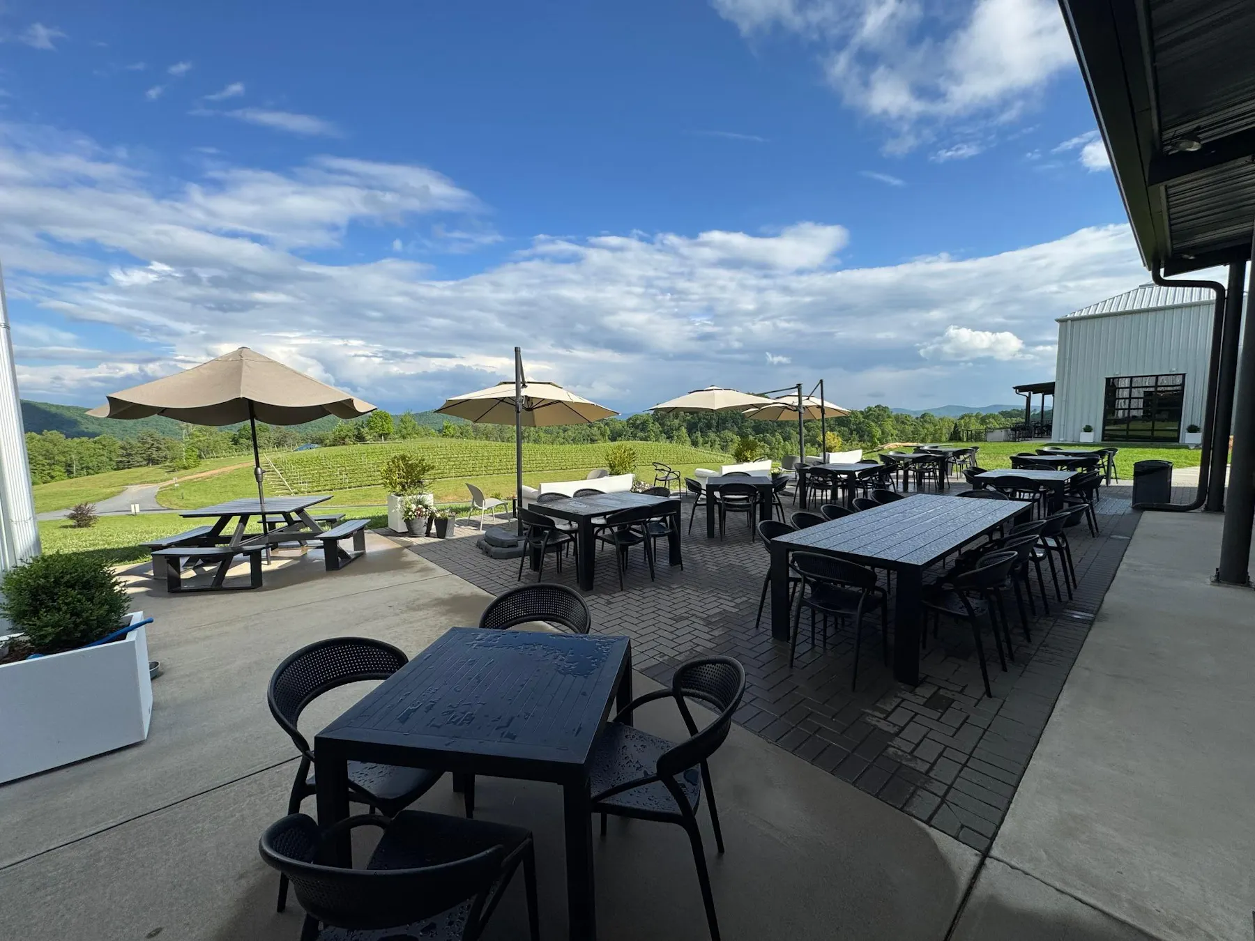 Marked Tree Vineyard - Flat Rock, NC | Tock