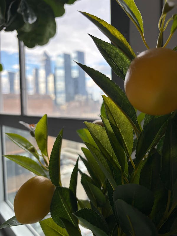 Sandbar Rooftop - New York, NY | Tock