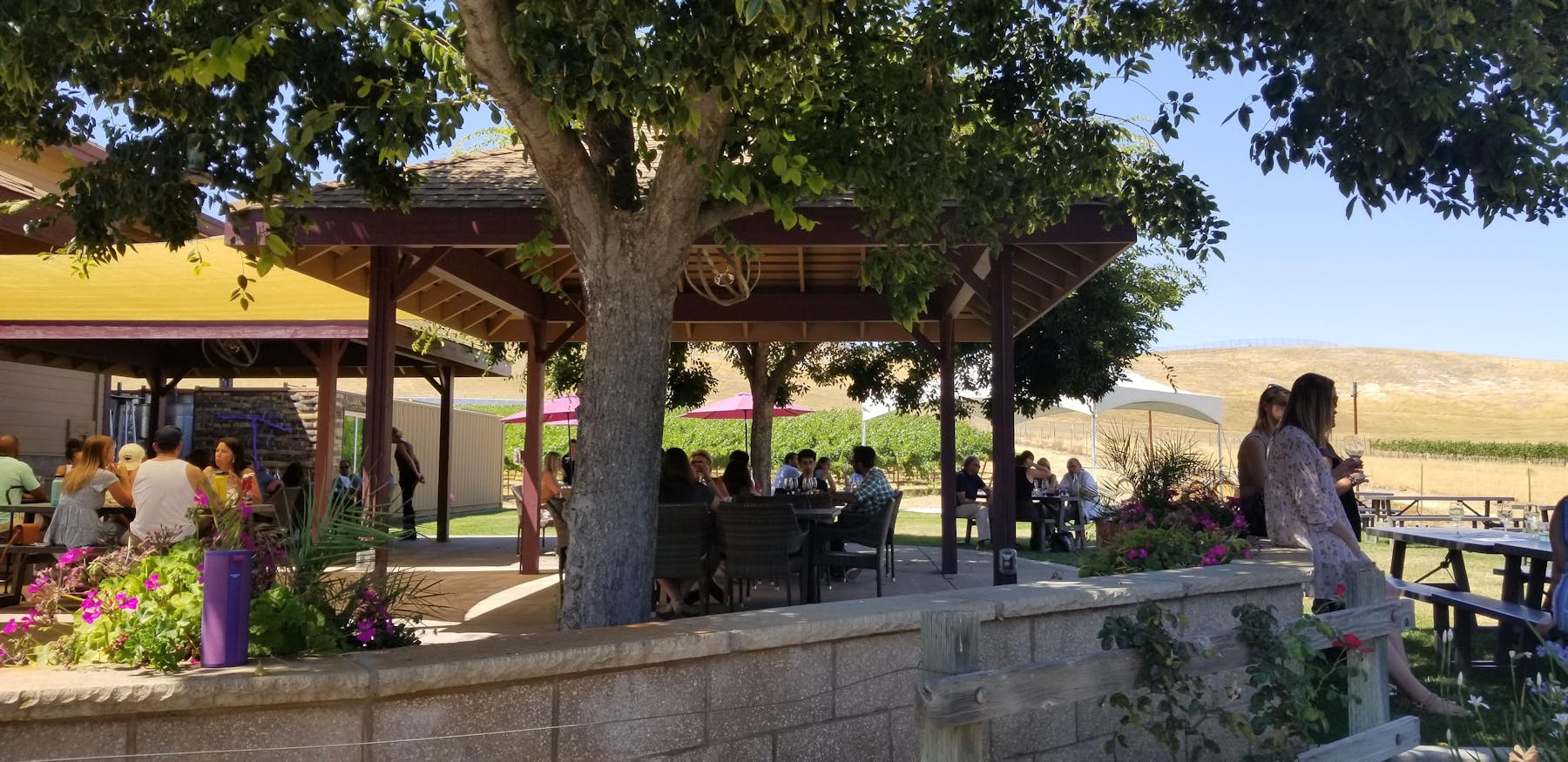 Darcie Kent Estate Winery - Livermore, CA | Tock