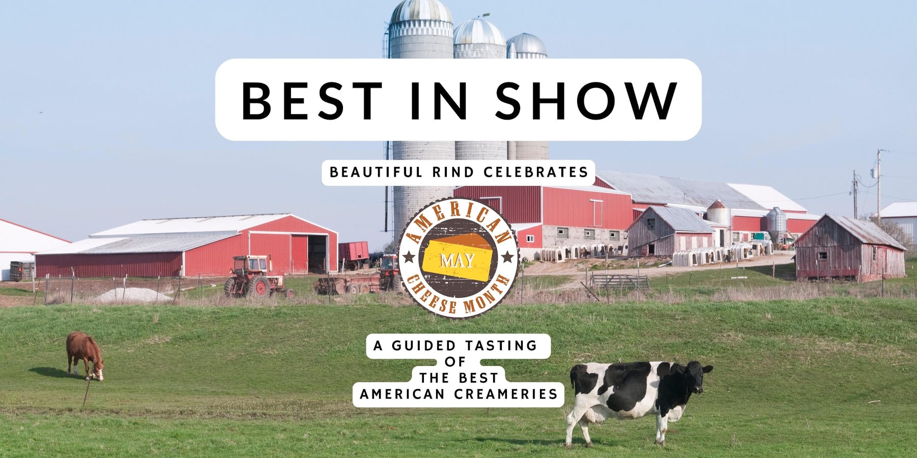 Beautiful Rind - Chicago, IL | Tock