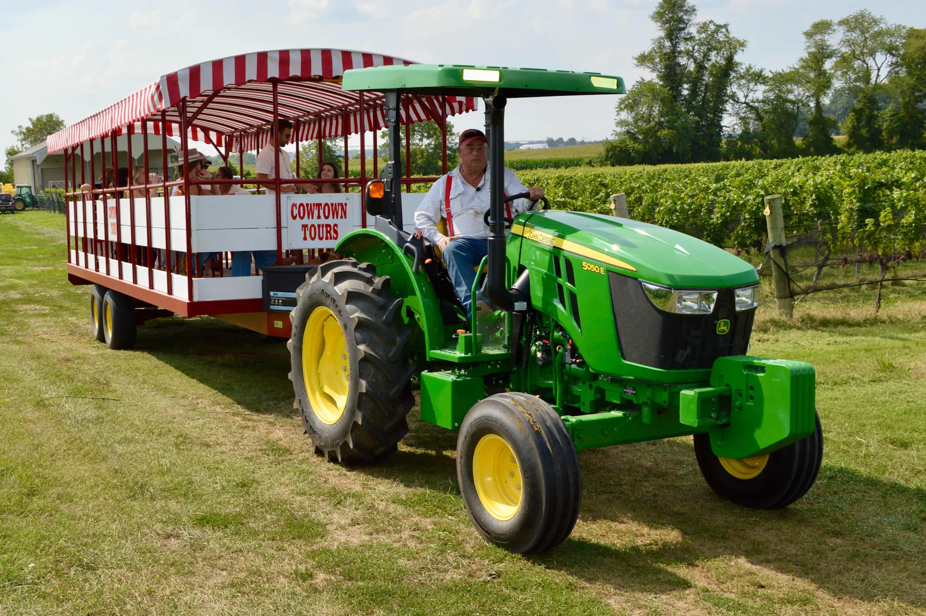 Auburn Road Vineyards - Pilesgrove, NJ | Tock