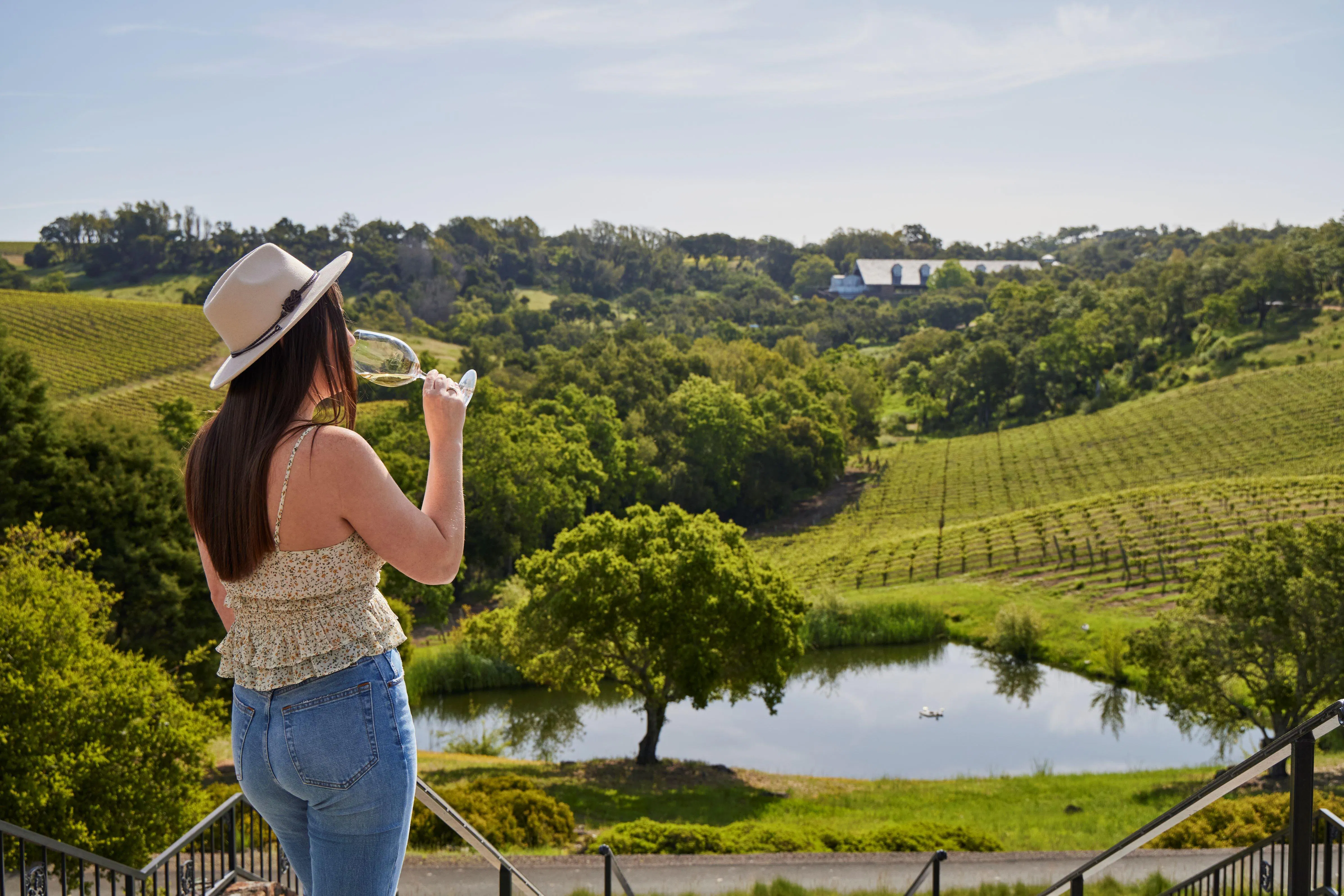 Chalk Hill Winery - Chalk Hill Vineyard Overlook Experience ...
