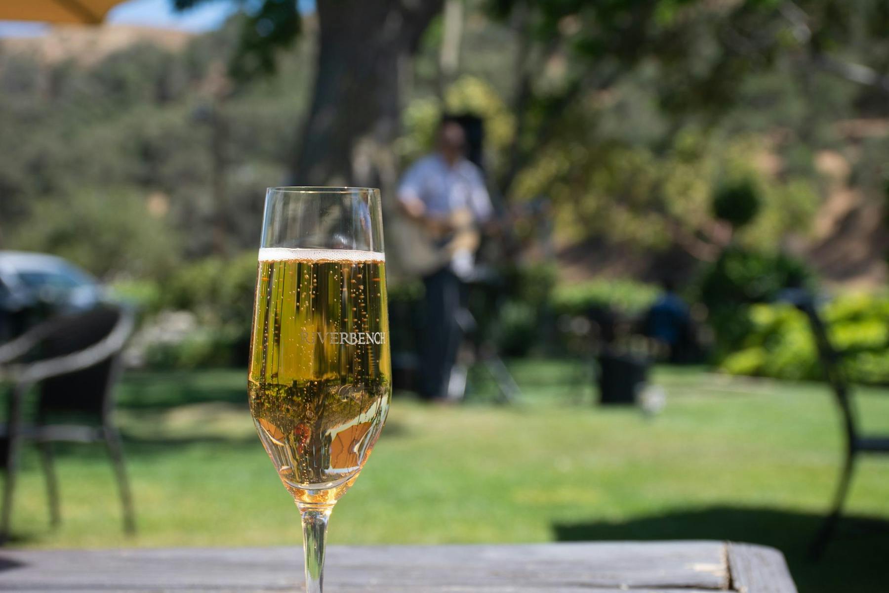 Riverbench Vineyard & Winery - Santa Maria, CA | Tock