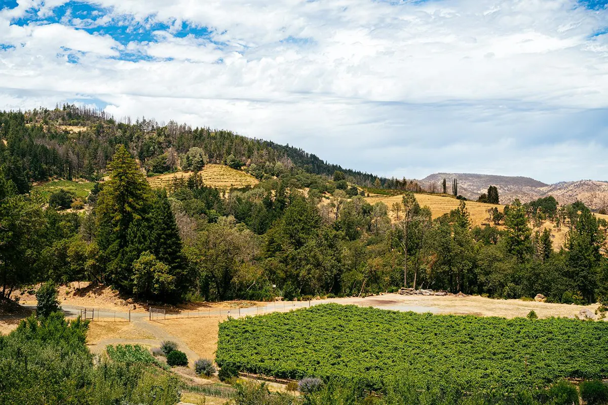 Clif Family Winery - St. Helena, CA | Tock