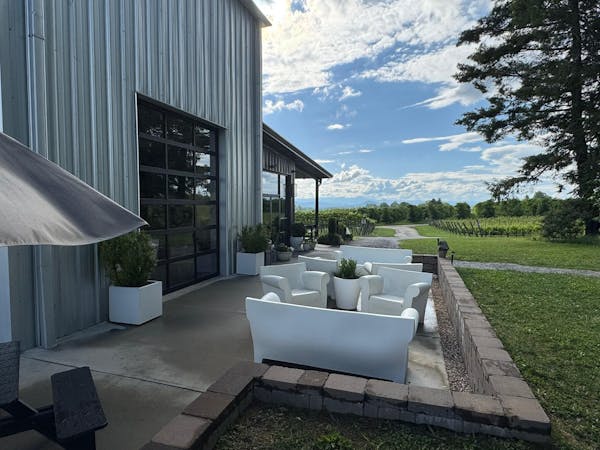 Marked Tree Vineyard - Estate Tour and Tasting - Flat Rock, NC | Tock