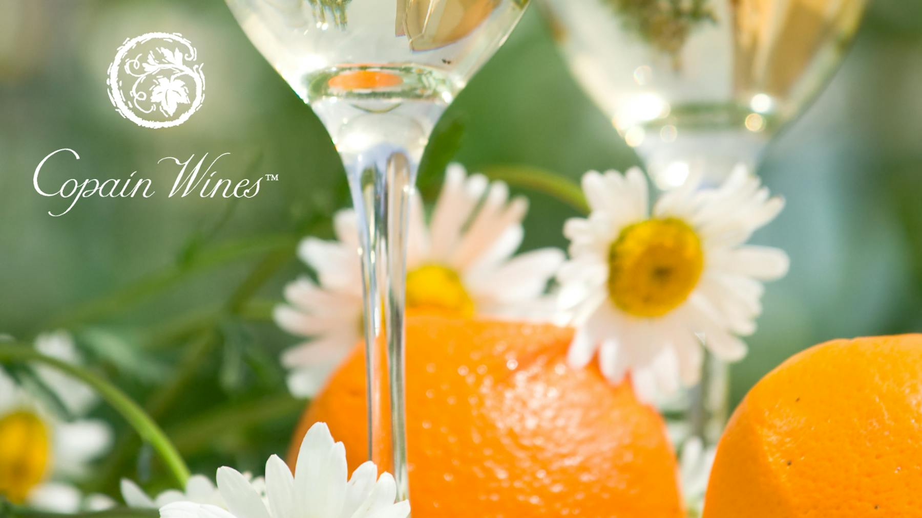 Copain Wines - Healdsburg, CA | Tock