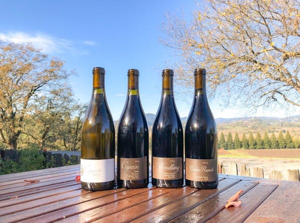 Copain Wines - Healdsburg, CA | Tock