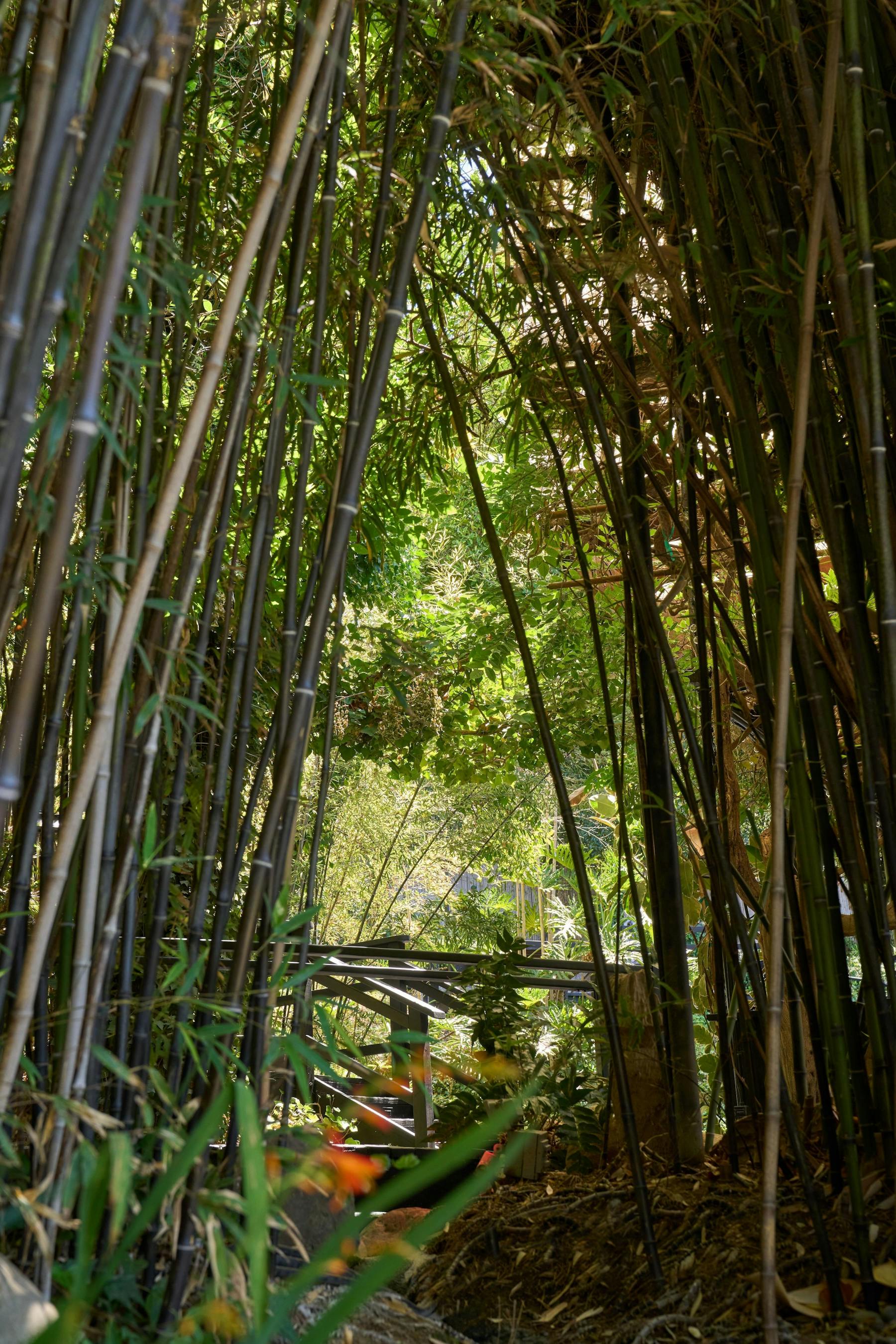 The Rochers at the Ranch House - Ojai, CA | Tock
