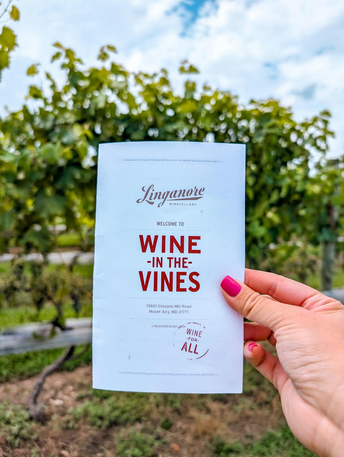 Linganore Winecellars - Mount Airy, MD | Tock