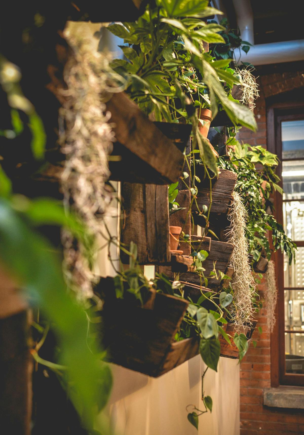 Living Roots - Rochester - Rochester, NY | Tock