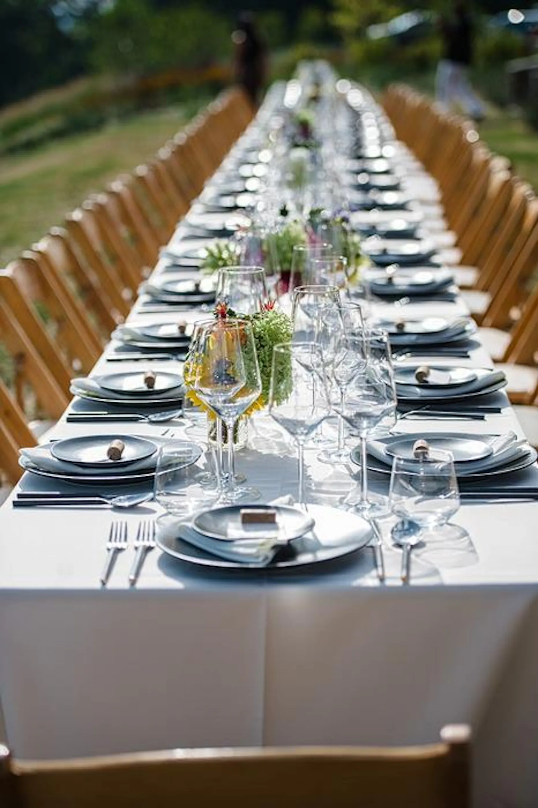 Crimson Lane Vineyards - Linden, VA | Tock