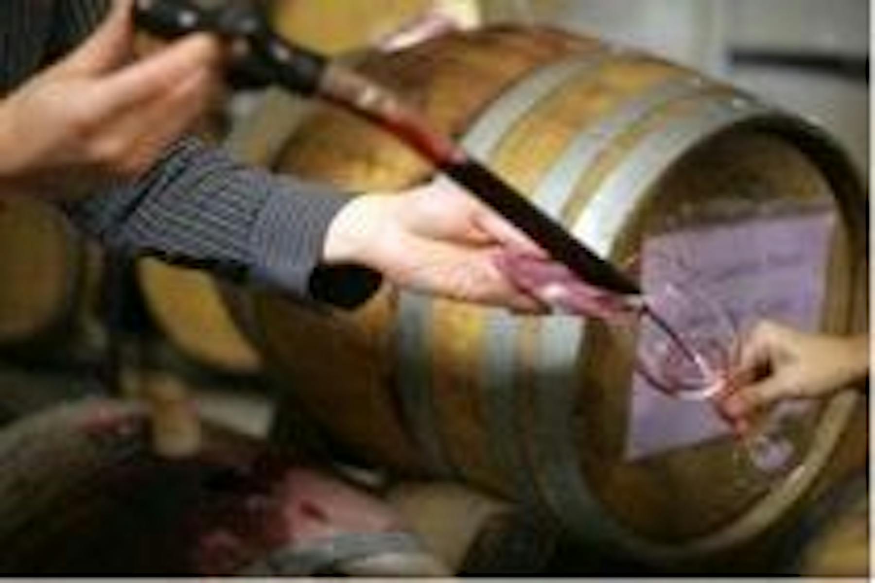 Sparkman Cellars - Woodinville, WA | Tock