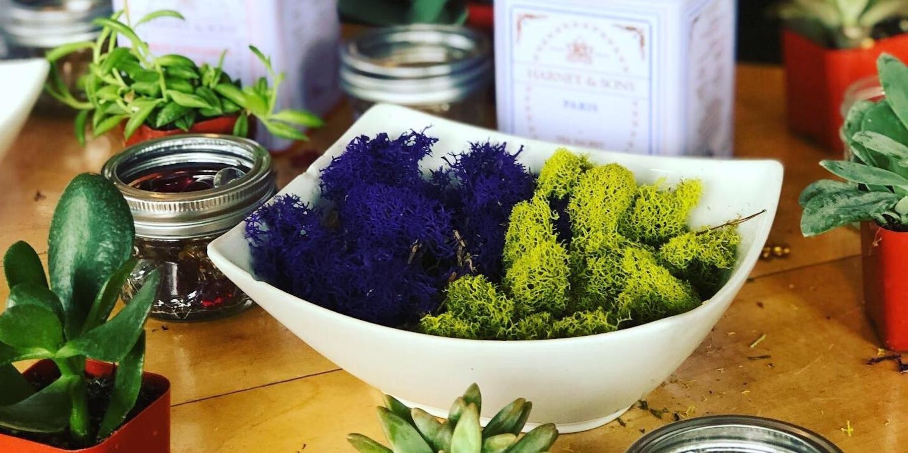 Halcyon Dallas - Dallas, TX | Tock