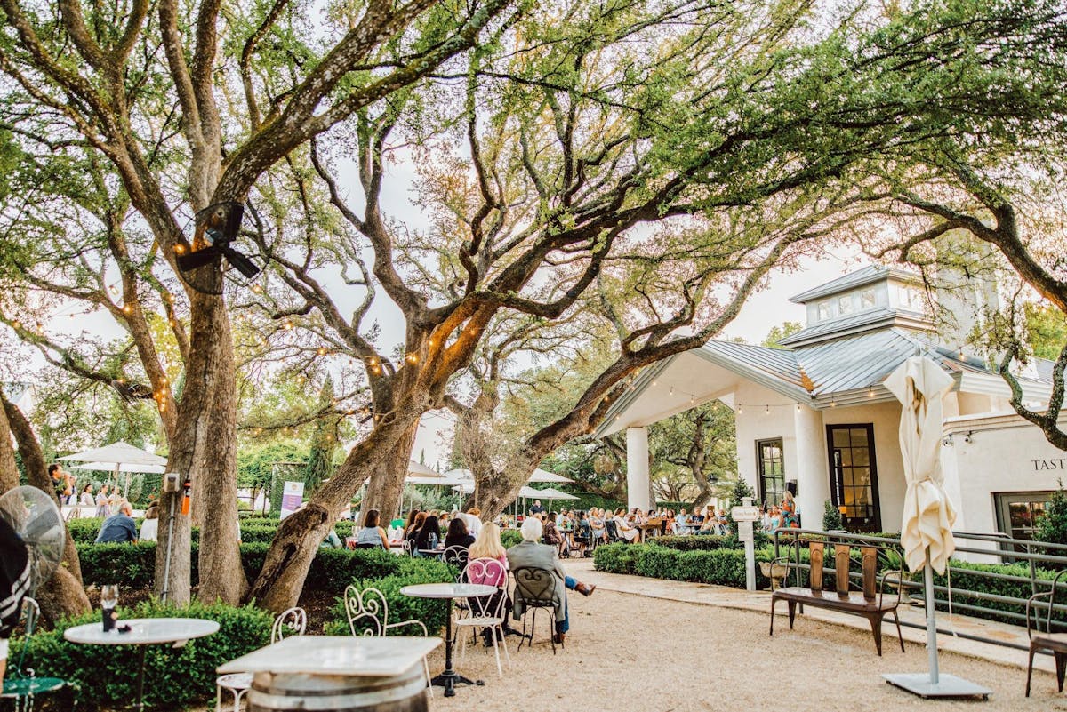 Signor Vineyards - Fredericksburg - Fredericksburg, TX | Tock