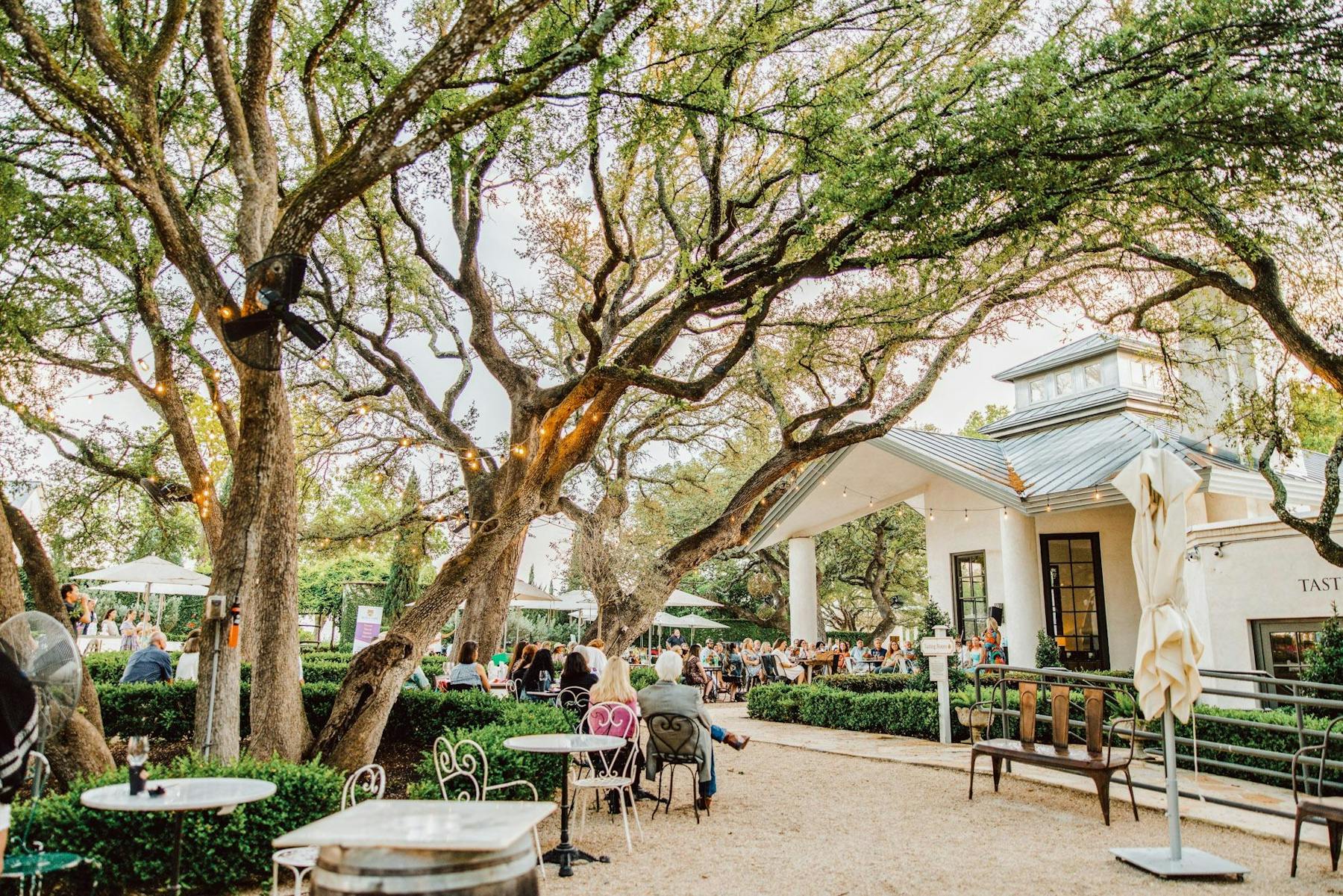 Signor Vineyards - Fredericksburg - Fredericksburg, TX | Tock