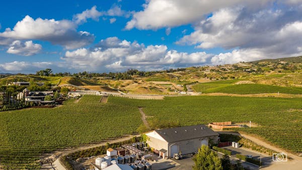 Leoness Cellars - Leoness Restaurant - Temecula, CA | Tock