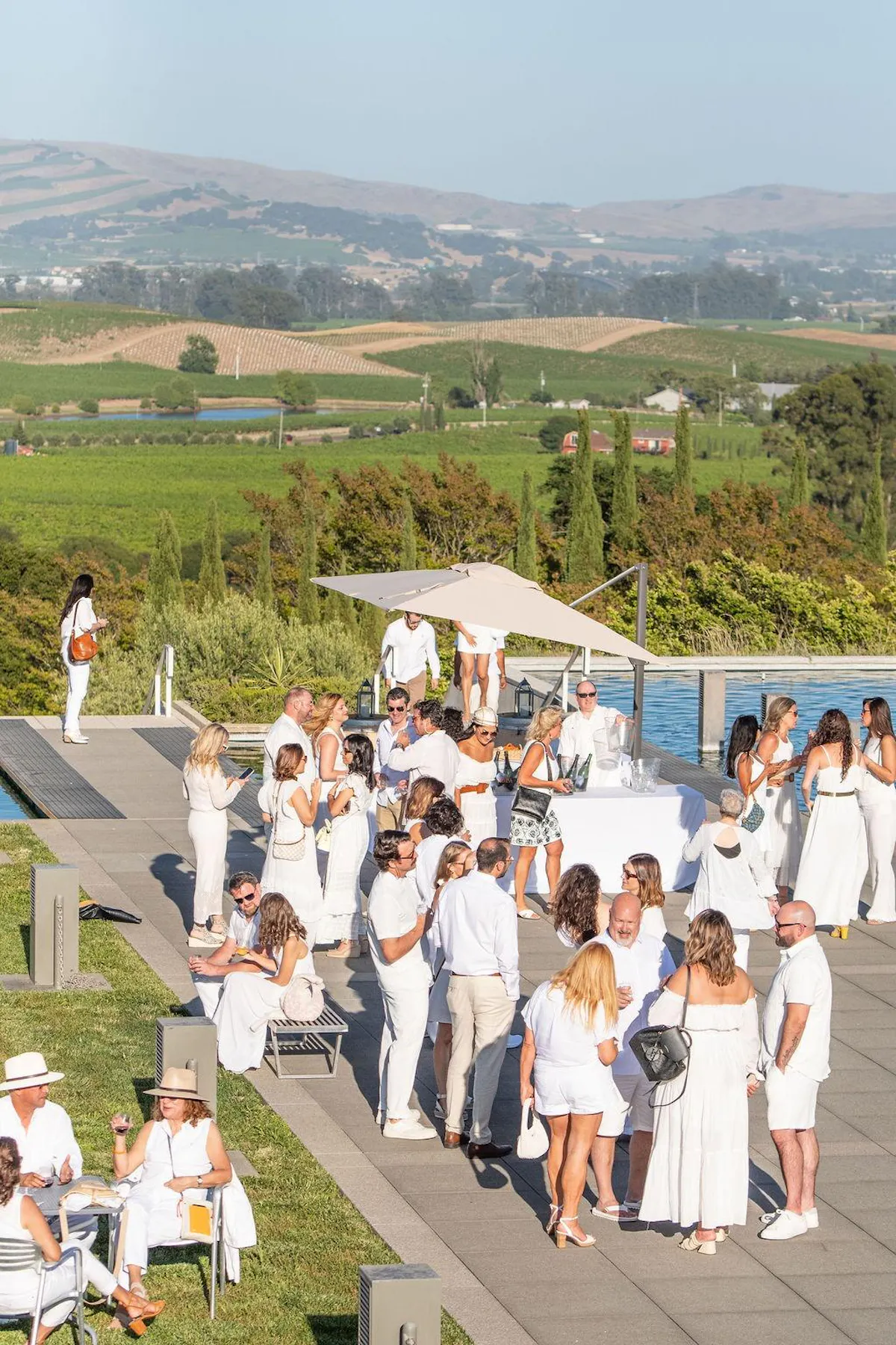 Artesa Vineyards & Winery - Unique Artesa Wine Experience - Napa, CA | Tock