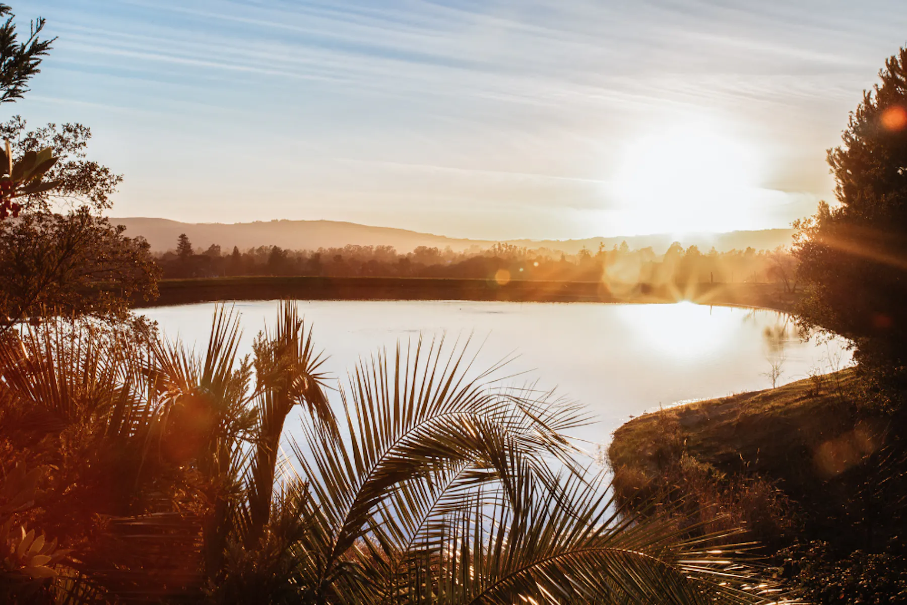 Gundlach Bundschu Winery - Bundschu Heritage Tasting - Sonoma, CA | Tock