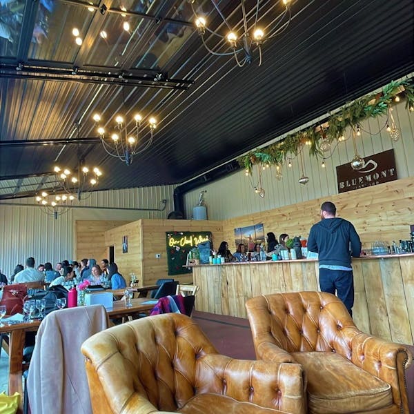 Bluemont Vineyard - Large Group Reservation - Bluemont, VA | Tock