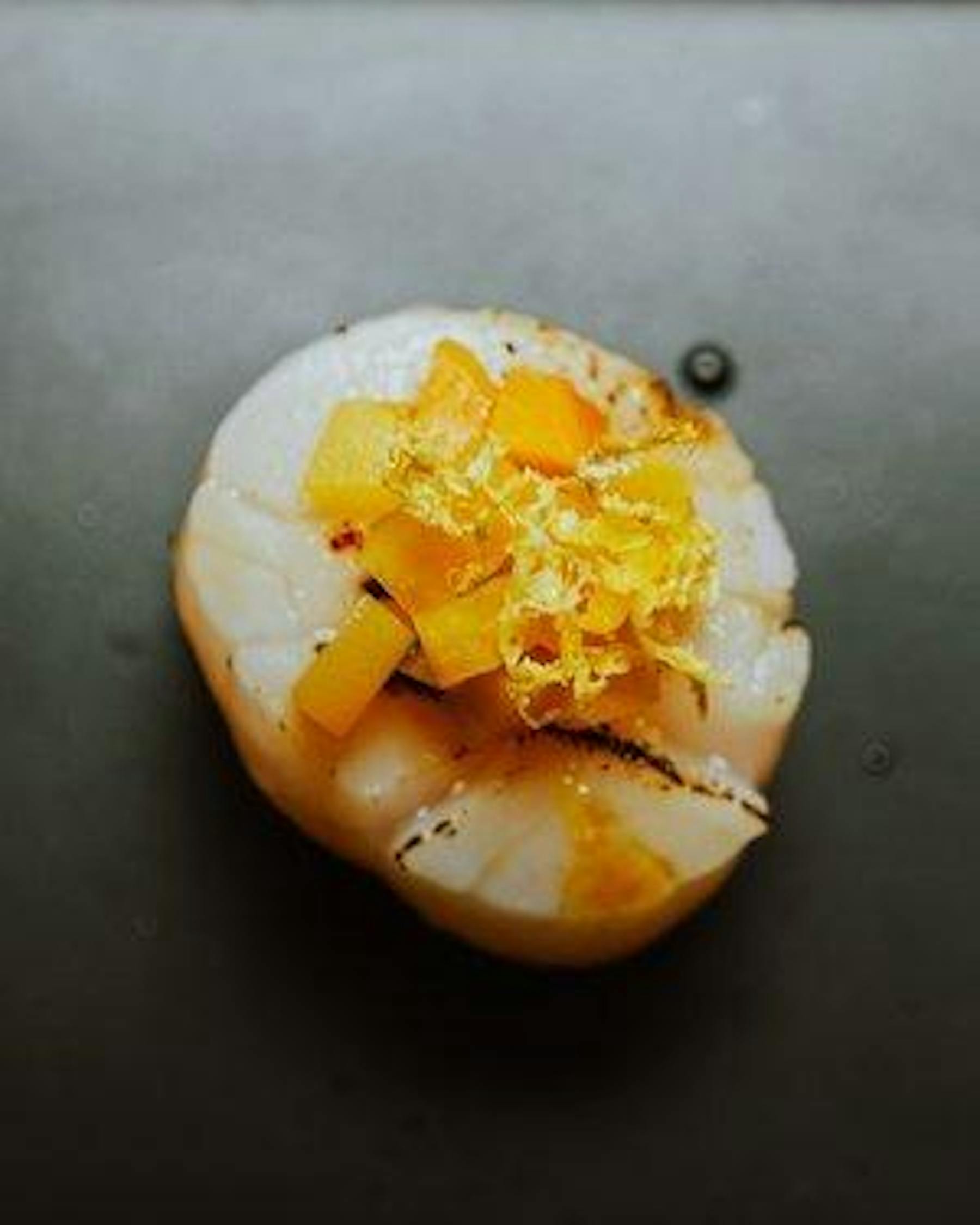 Dozo in Tender Mercy - Dayton, OH | Tock