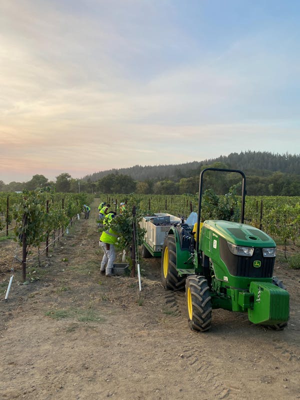 Amista Vineyards - Celebrate Galentine's! - Healdsburg, CA | Tock