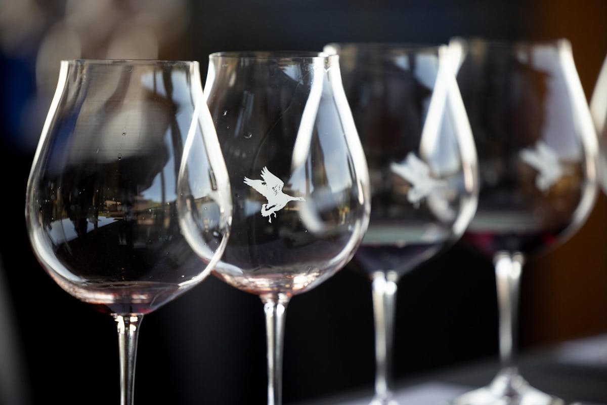 Dusky Goose Winery - Dundee, OR | Tock