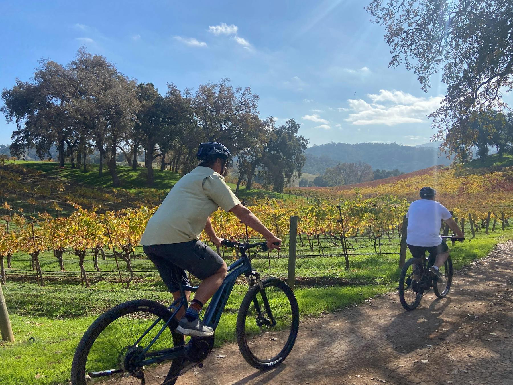 JUSTIN Vineyards & Winery - Paso Robles, CA | Tock