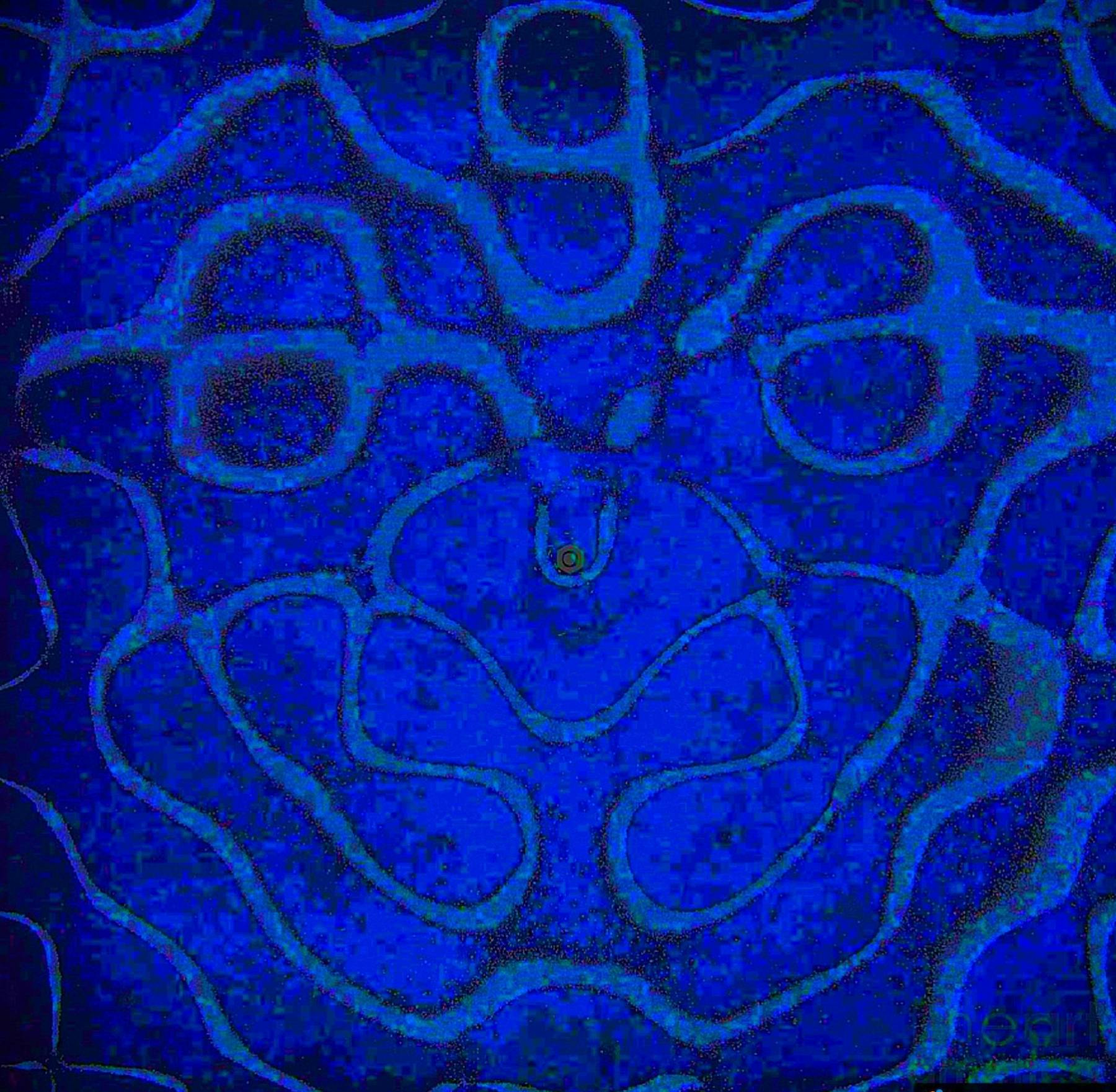 Lambert Estate Wines - Restaurant Reservation - Angaston, SA | Tock