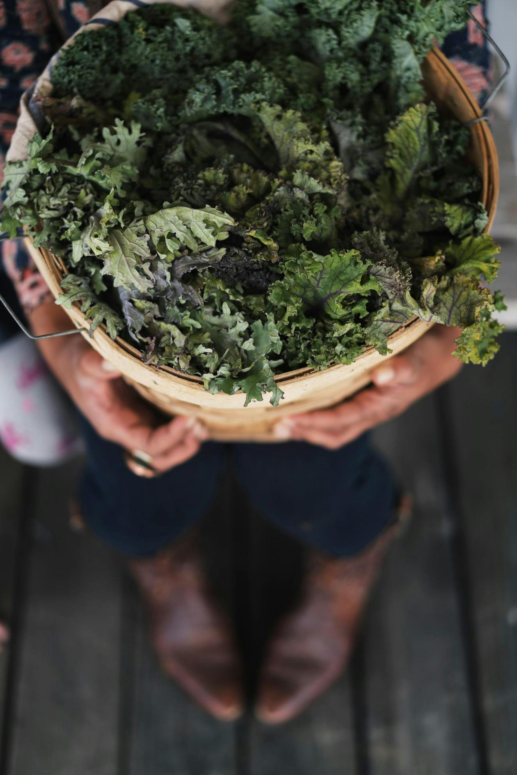 Locavore Farm - Grant Park, IL | Tock