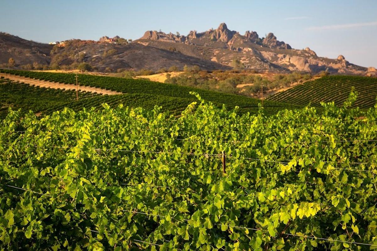 Chalone Vineyard Tasting Room - Carmel-by-the-Sea, CA | Tock