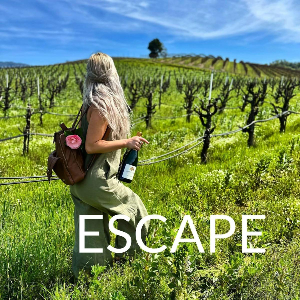 Campovida - Hopland, CA | Tock